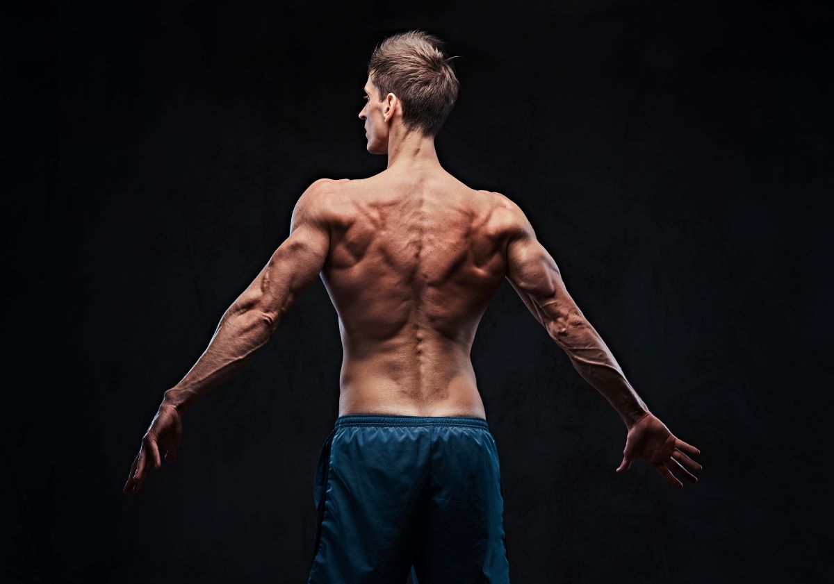 Exercice de musculation dos : les meilleurs mouvements pour un dos ...